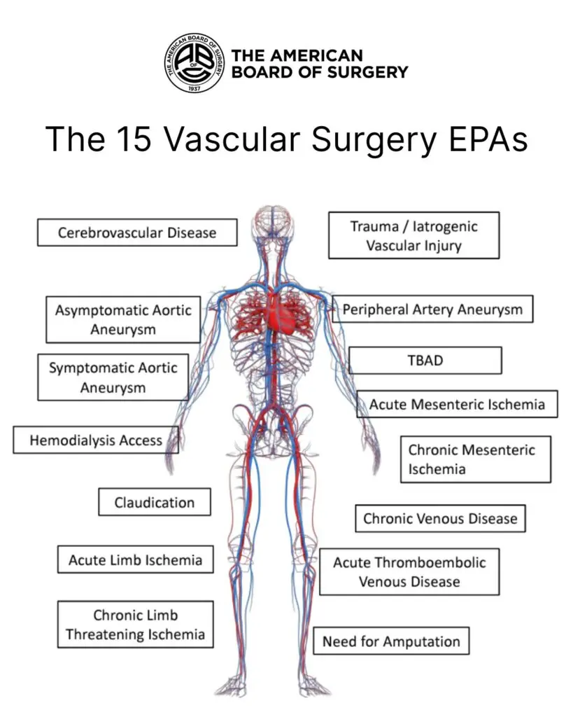 Vascular Surgery Anatomy Professional Master's Degree In Vascular